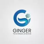 Ginger Technologies : Web design company in Qatar - IT Solutions Company