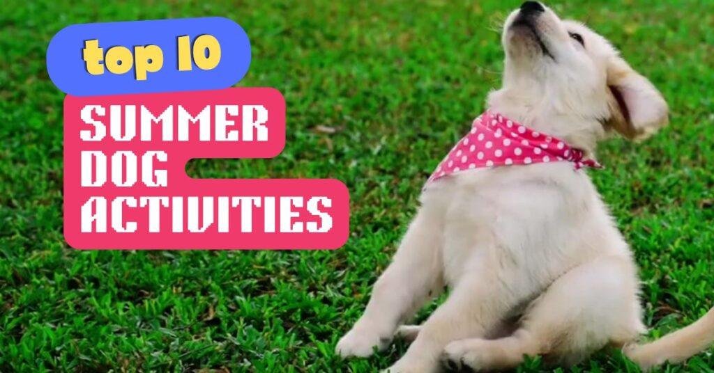 10 Summer-Friendly Dog Activities to Keep Your Pup Active and Cool
